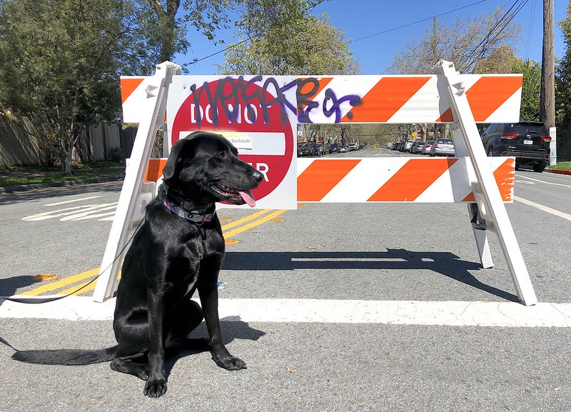 Notebook Utils — OpenVINO™ documentation